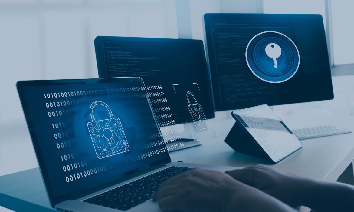 ProVAD Solutions for your Businesses in Egypt